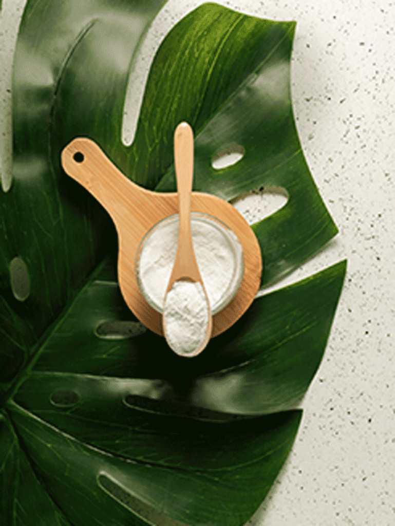 Refresh-Visual – Spa Salon